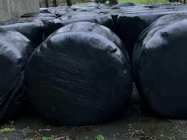 Silage and Hay Round Bales for sale in Co. Down for £1 on DoneDeal