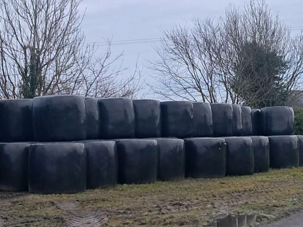 Silage hayage for sale in Co. Westmeath for €1,234 on DoneDeal