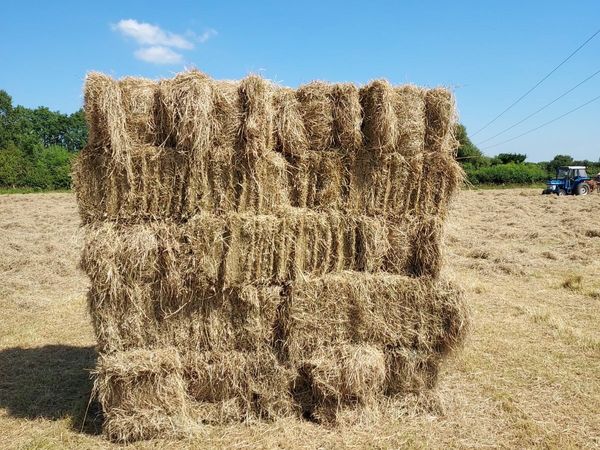 Hay: Round & Small Square for sale in Co. Kildare for €35 on DoneDeal