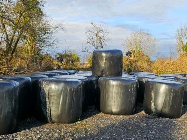 Silage and Haylage for sale in Co. Sligo for €30 on DoneDeal