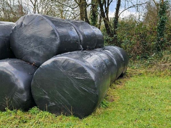 Silage Bales & Haylage for sale in Co. Kilkenny for €1,500 on DoneDeal
