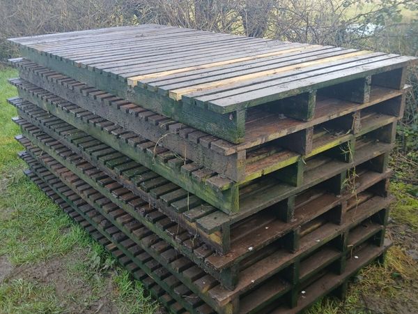 Sheep slats RE LISTED DUE TO TIME WASTERS for sale in Galway for €0 on ...