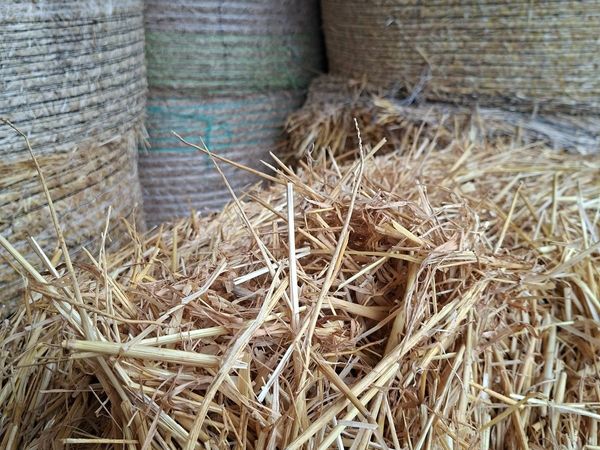 Barley Straw for sale in Co. Tipperary for €123 on DoneDeal