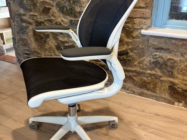 Humanscale Diffrient World Ergonomic Office Chair for sale in Co. Cork ...