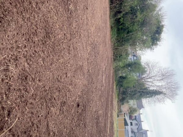 Property maintenance/Digger hire for sale in Co. Cavan for €1 on DoneDeal
