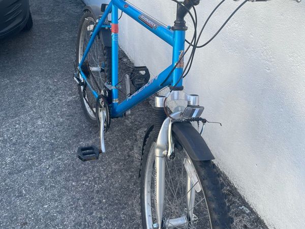 Raleigh 90's mountain bike for sale in Waterford for €100 on DoneDeal
