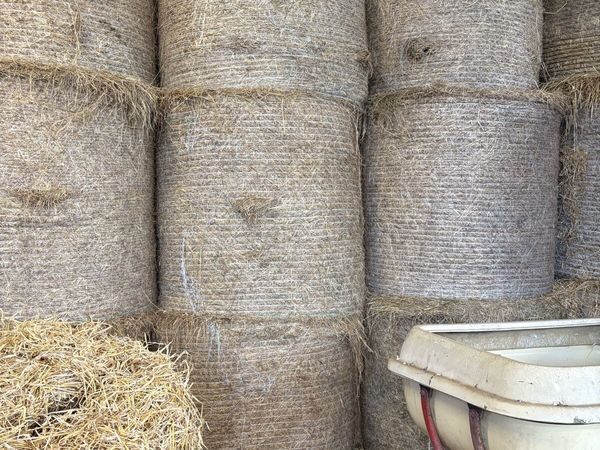Bales of hay for sale in Co. Cork for €123 on DoneDeal