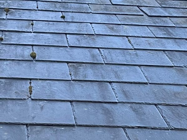 Natural slates for sale in Tipperary for €2 on DoneDeal