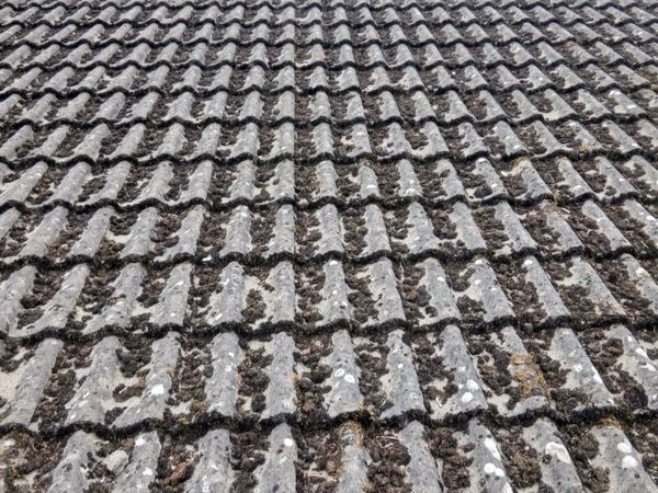 Roof tiles for sale in Carlow for €600 on DoneDeal