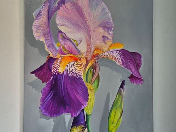 Violet Iris | Oil Painting on canvas for sale in Kildare for €250 on ...