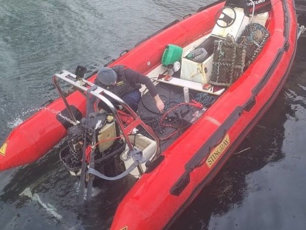 RIB - Project Boat - Stingray 4.2 for sale in Cork for €2,200 on DoneDeal