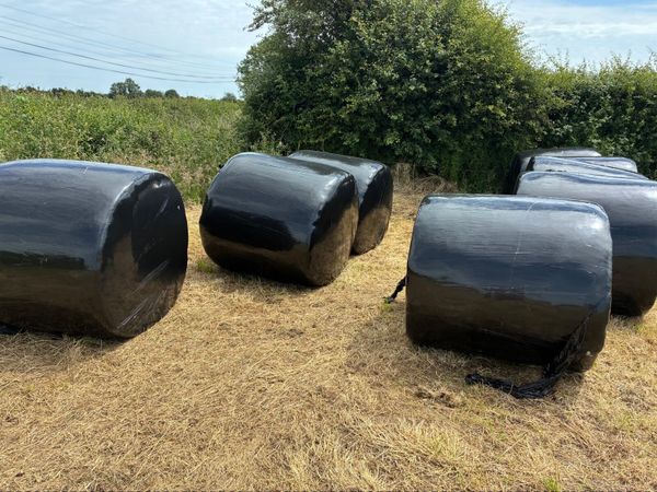 Silage Bales for sale in Tipperary for €840 on DoneDeal