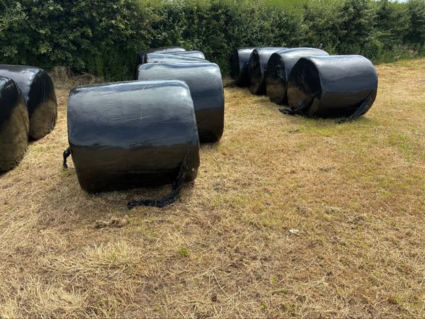 Silage Bales for sale in Tipperary for €840 on DoneDeal