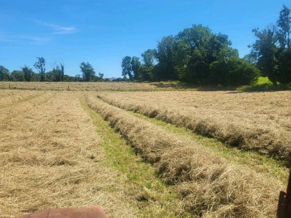 Square bales hay for sale in Longford for €6 on DoneDeal