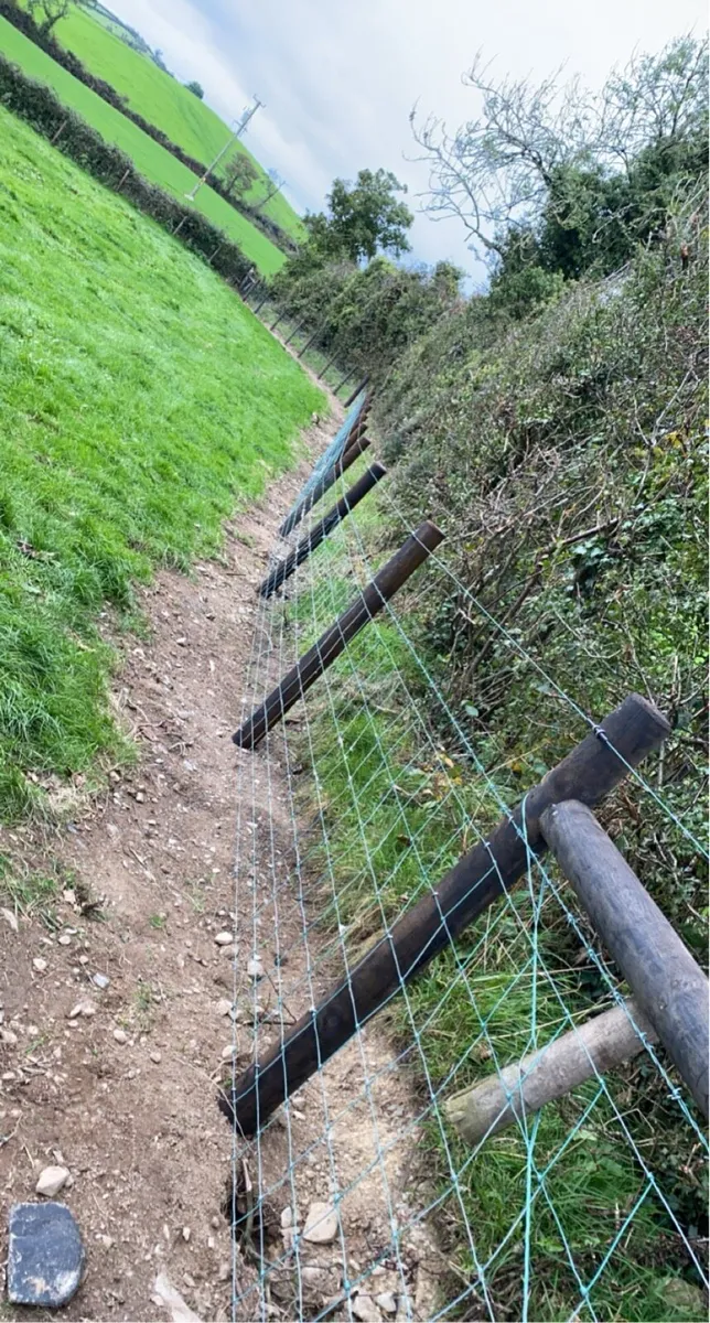 Fencing / Tree cutting for sale in Co. Monaghan for €1,234 on DoneDeal