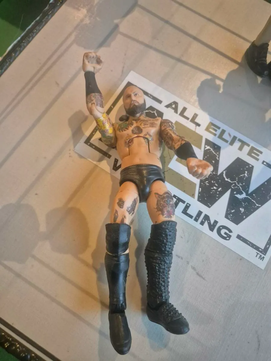 Wwe Wrestlers for sale in Co. Galway for €20 on DoneDeal