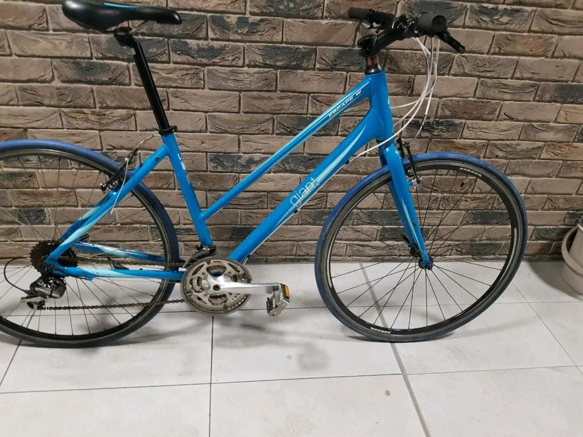 Giant escape ladies( can deliver) for sale in Co. Dublin for €145 on DoneDeal