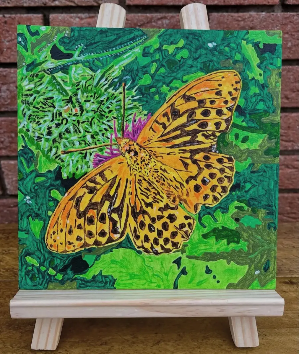 Butterfly Painting for sale in Co. Leitrim for €40 on DoneDeal