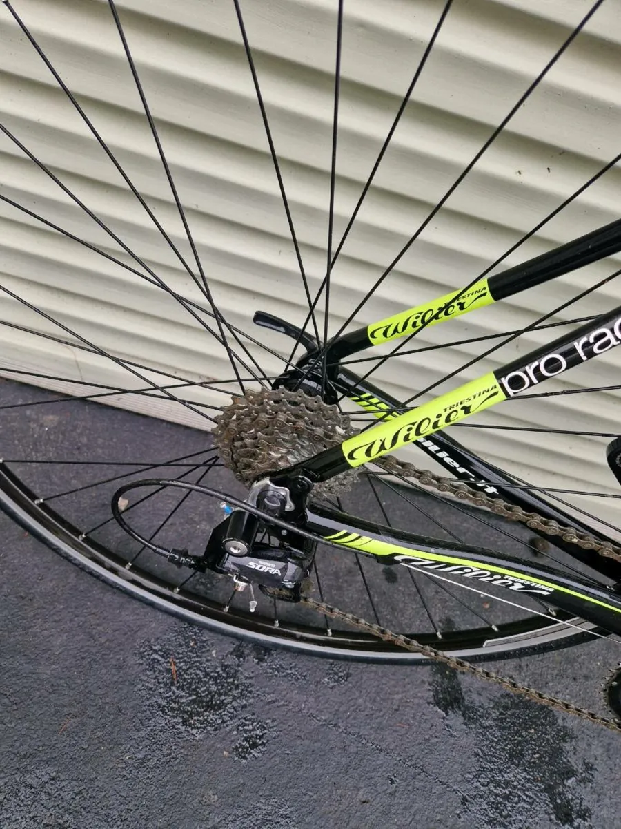 Willier Izoard XP full carbon size M/L 55cm for sale in Co. Mayo for € ...