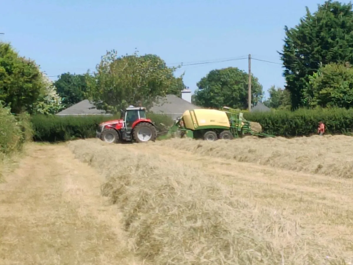 Hay and straw for sale in Co. Tipperary for €0 on DoneDeal