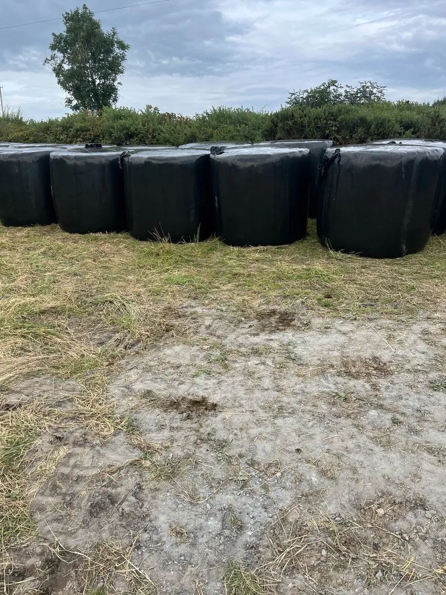 Round bales silage for sale in Co. Cavan for €25 on DoneDeal