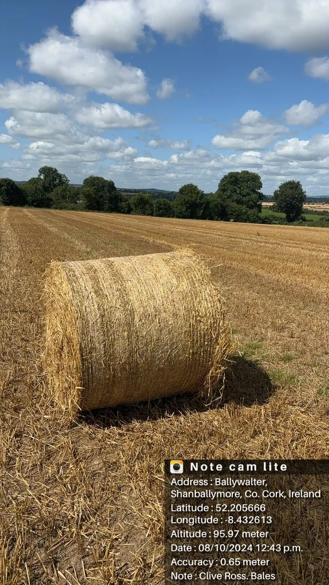 Wheat straw for sale in Co. Cork for €123,456,789 on DoneDeal