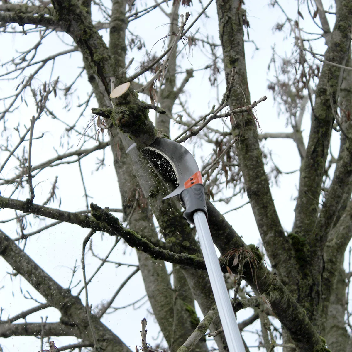 Piranha 4.9m Telescopic Pole Saw for sale in Co. Kilkenny for €195 on ...