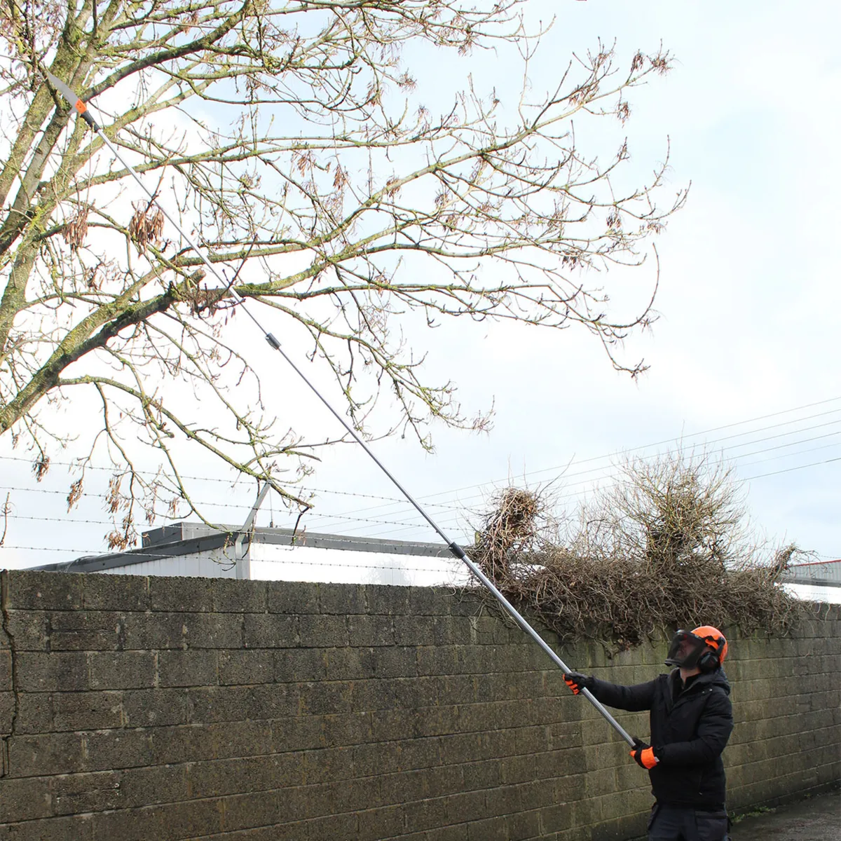 Piranha 4.9m Telescopic Pole Saw for sale in Co. Kilkenny for €195 on ...
