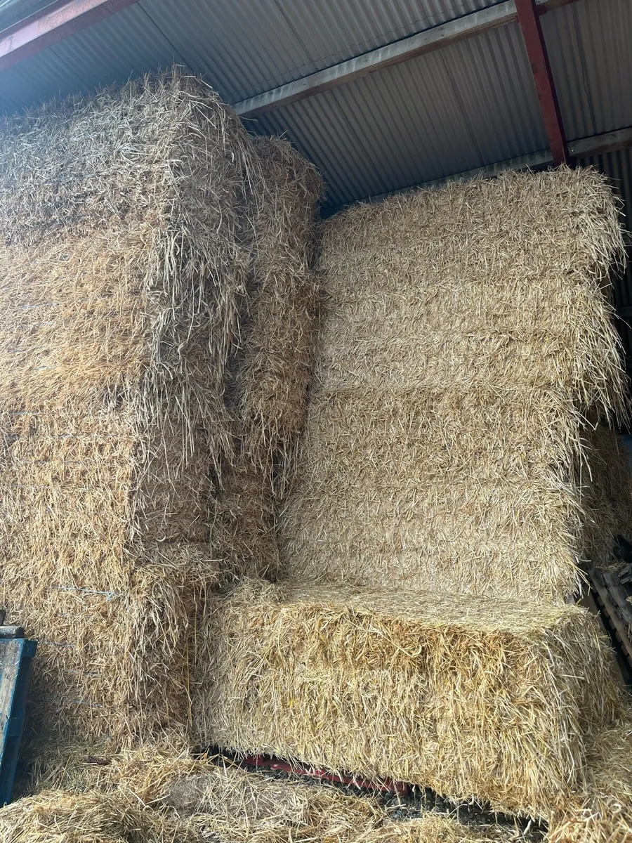 Straw for sale in Co. Cavan for €0 on DoneDeal