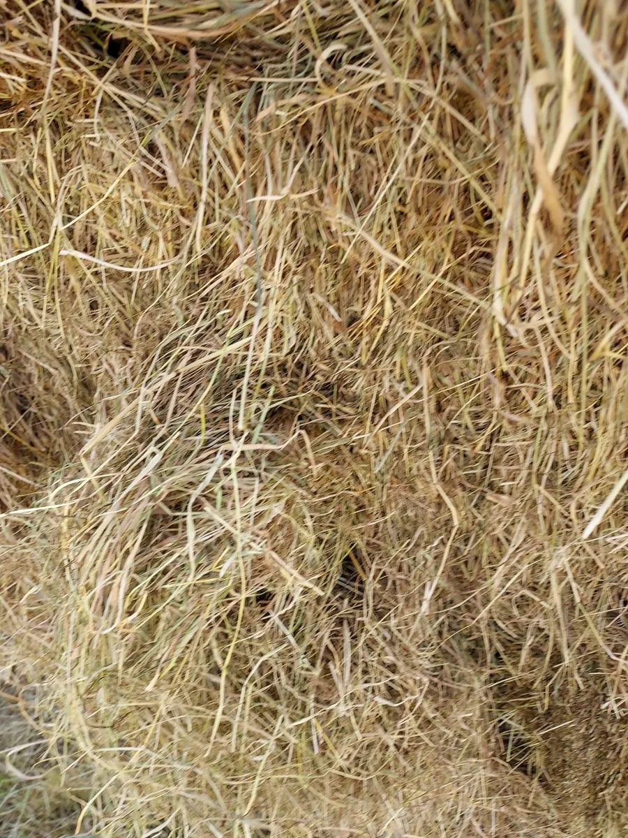 Hay: Round & Small Square for sale in Co. Kildare for €35 on DoneDeal