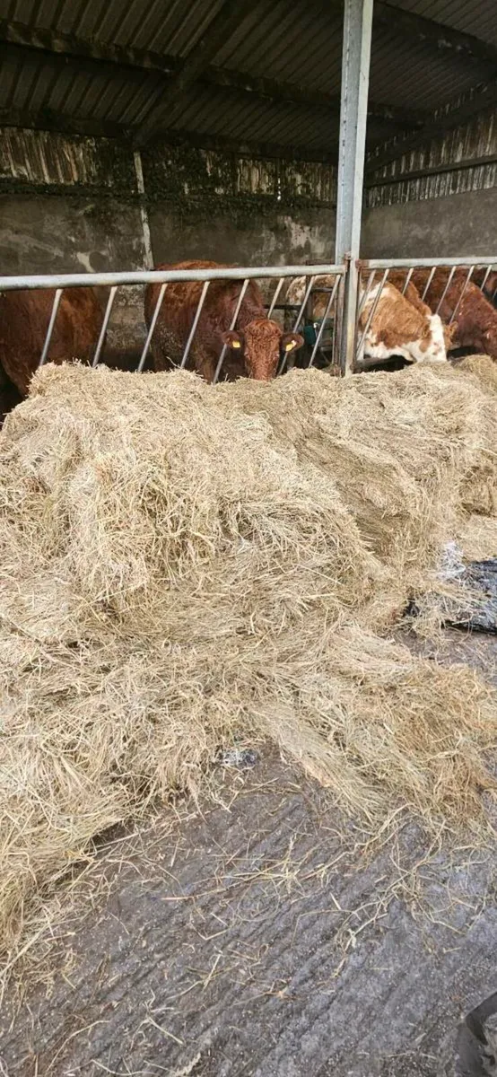 Silage and Haylage for sale in Co. Sligo for €30 on DoneDeal