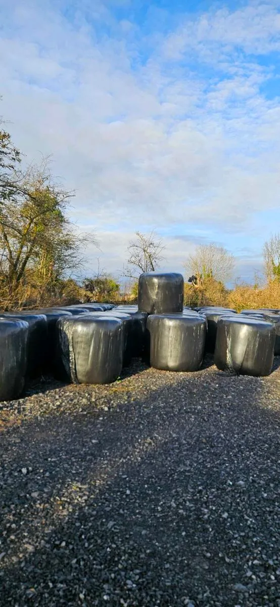 Silage and Haylage for sale in Co. Sligo for €30 on DoneDeal