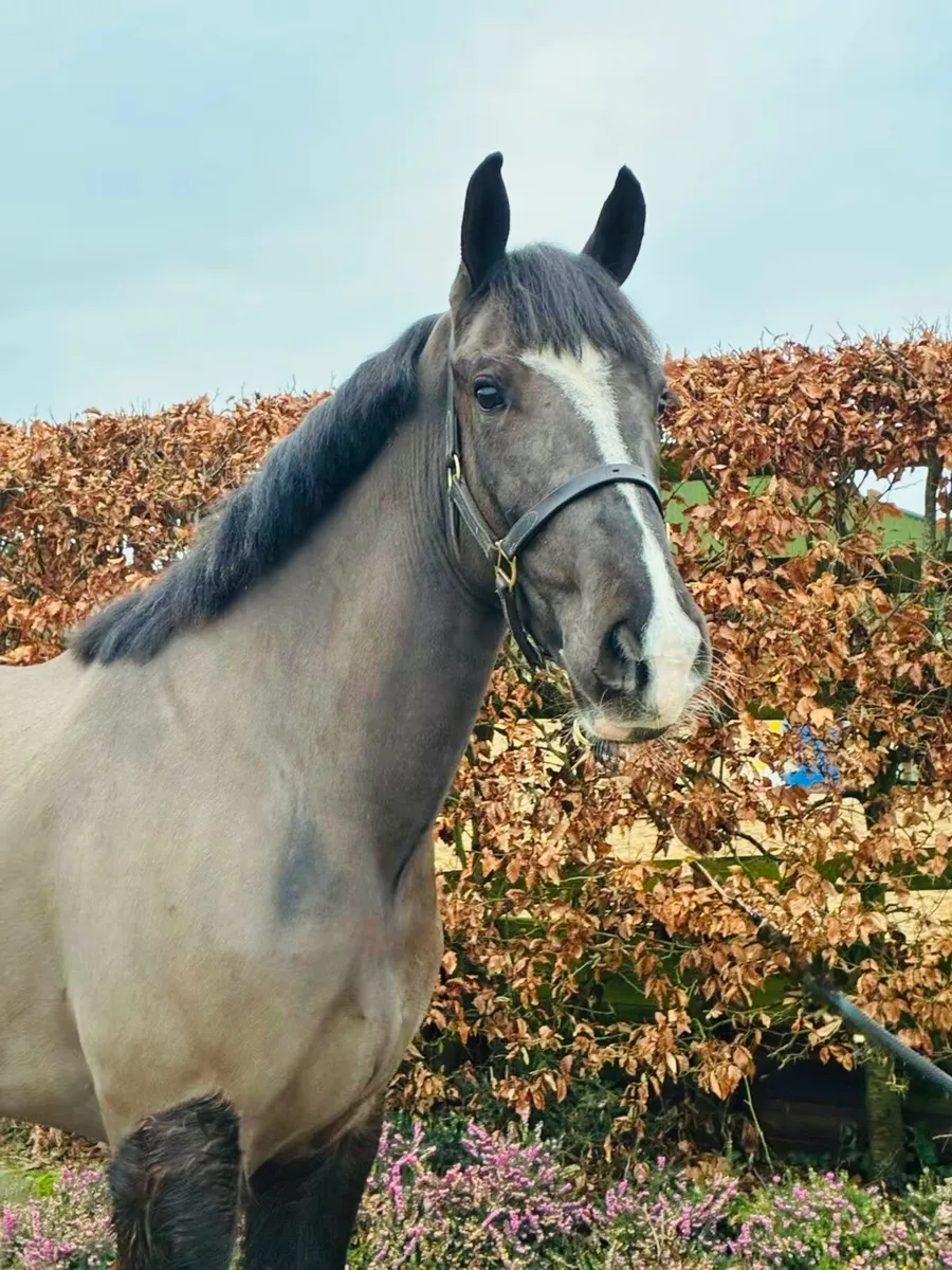 Sales photography for sale in Co. Limerick for €75 on DoneDeal