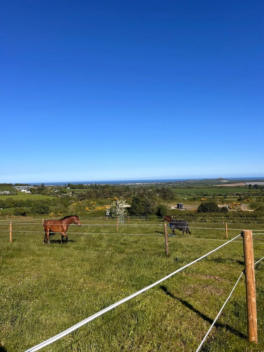 Grass livery for sale in Wicklow for €50 on DoneDeal
