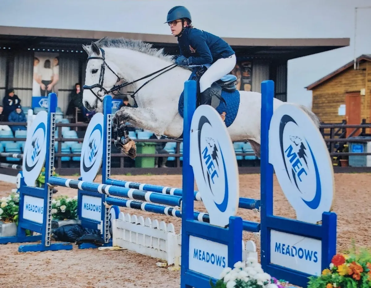 Pretty Connie mare for confident rider for sale in Armagh for €5,000 on ...
