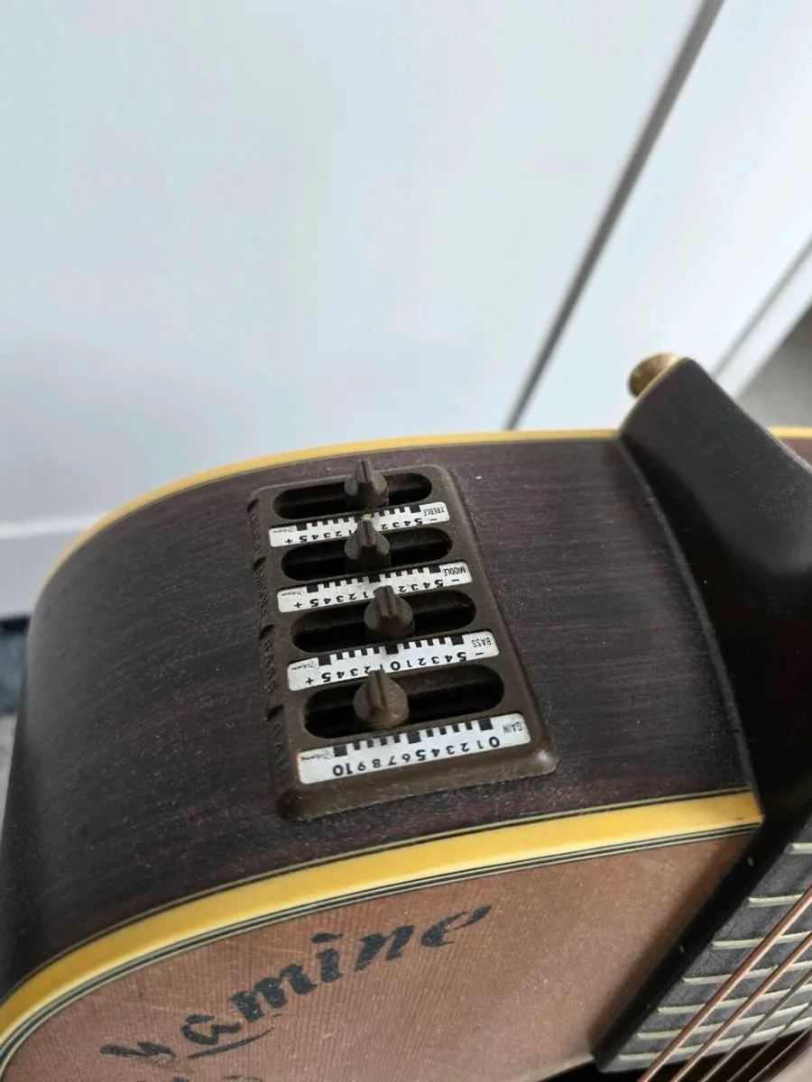 Takamine Guitar for sale in Meath for €1,050 on DoneDeal