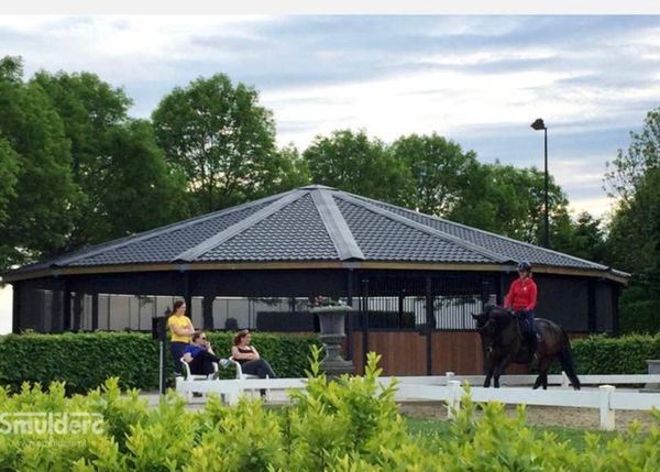 solar-panel-bird-proofing-systems Equine Noticeboard Ads For Sale in ...