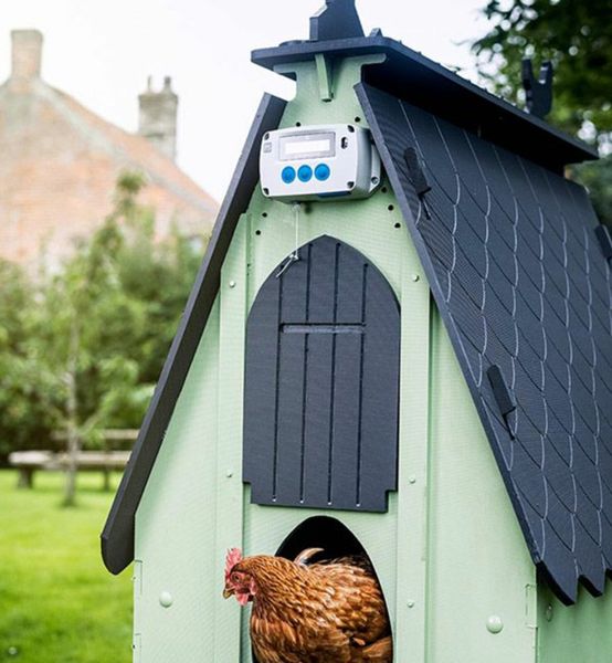 microsoft-office-2019-pro-plus-32-64-bit Poultry Ads For Sale in ...