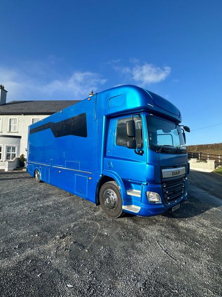 Real Kebab for sale Mackay | 1 Horse Transport Ad For Sale in Ireland ...