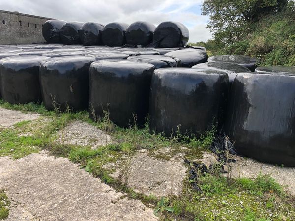 hay bales for sale | 1,700 All Sections Ads For Sale in Ireland | DoneDeal