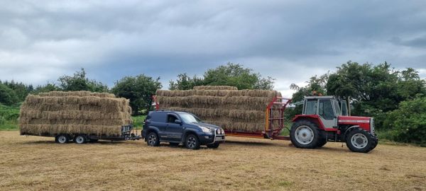 small business for sale nearby | 8,348 All Sections Ads For Sale in ...