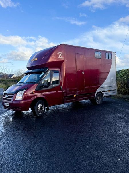 contries with small cars | 9 Animals Ads For Sale in Ireland | DoneDeal