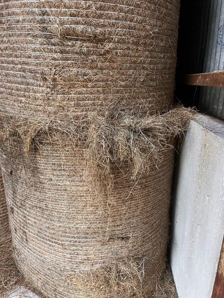 A | 109 Hay & Forage Ads For Sale in Ireland | DoneDeal