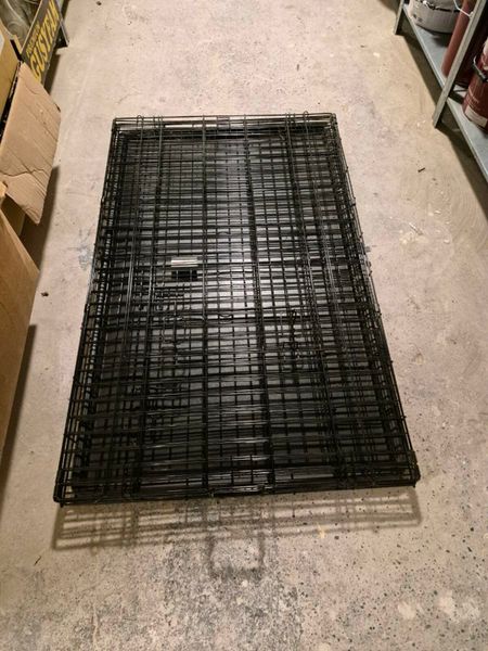 dogs | 62 Animals Ads For Sale in Dublin | DoneDeal