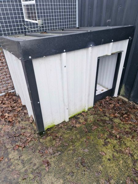 dog | 866 All Sections Ads For Sale in Ireland | DoneDeal