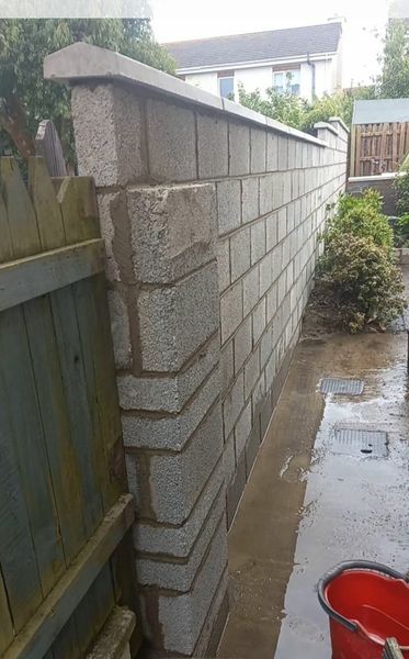 7-charolais-calves-for-sale Bricklayers & Stone Masons Ads For Sale in ...