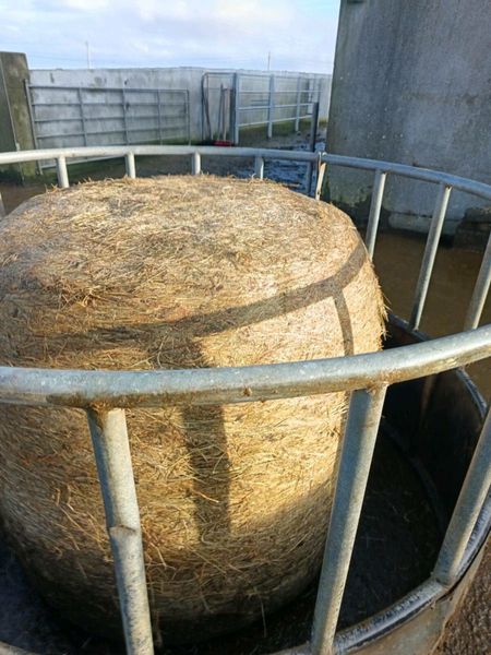 gem silage wrap bales | 123 All Sections Ads For Sale in Ireland | DoneDeal