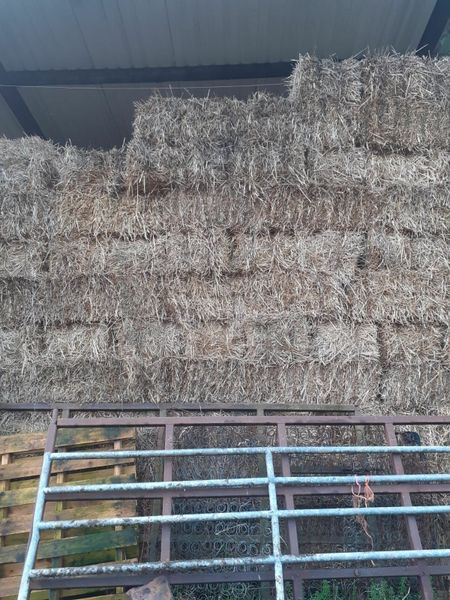 square ring | 74 All Sections Ads For Sale in Ireland | DoneDeal