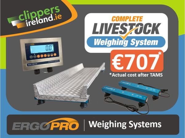 scales ireland | 148 All Sections Ads For Sale in Ireland | DoneDeal
